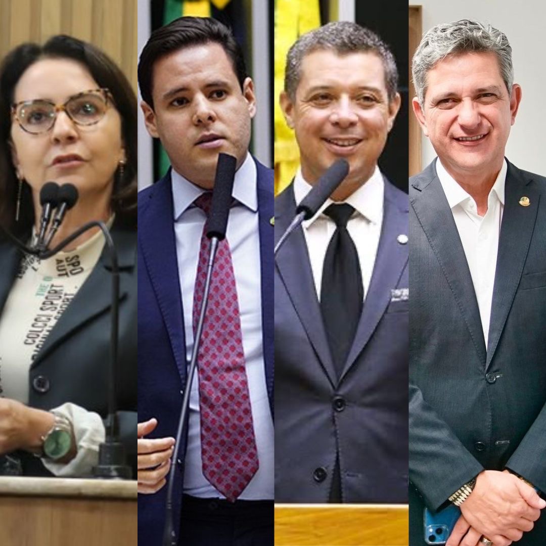 Emília, Rodrigo, Fábio e Rogério e uma leitura de suas estratégias ...