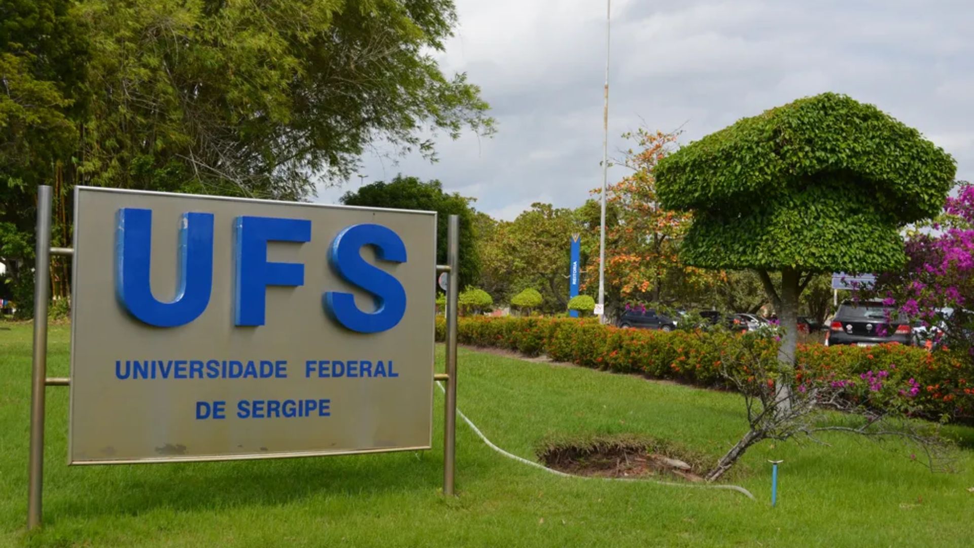 UFS oferta mais de 700 vagas para transferência interna; saiba como ...