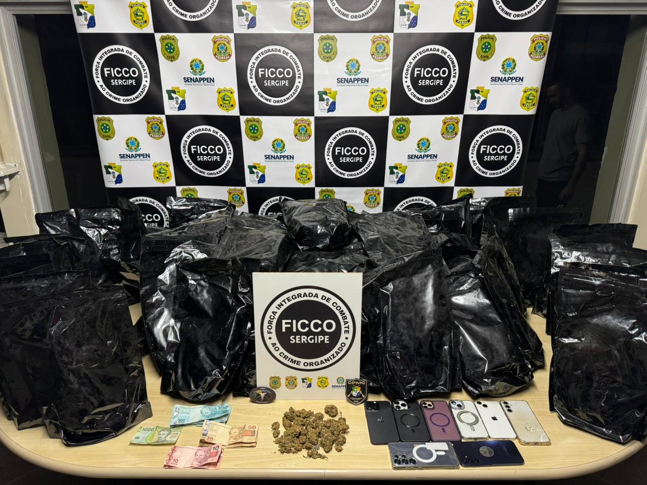 Cerca de 36 kg de 'flor de maconha' são apreendidos em abordagem na BR ...